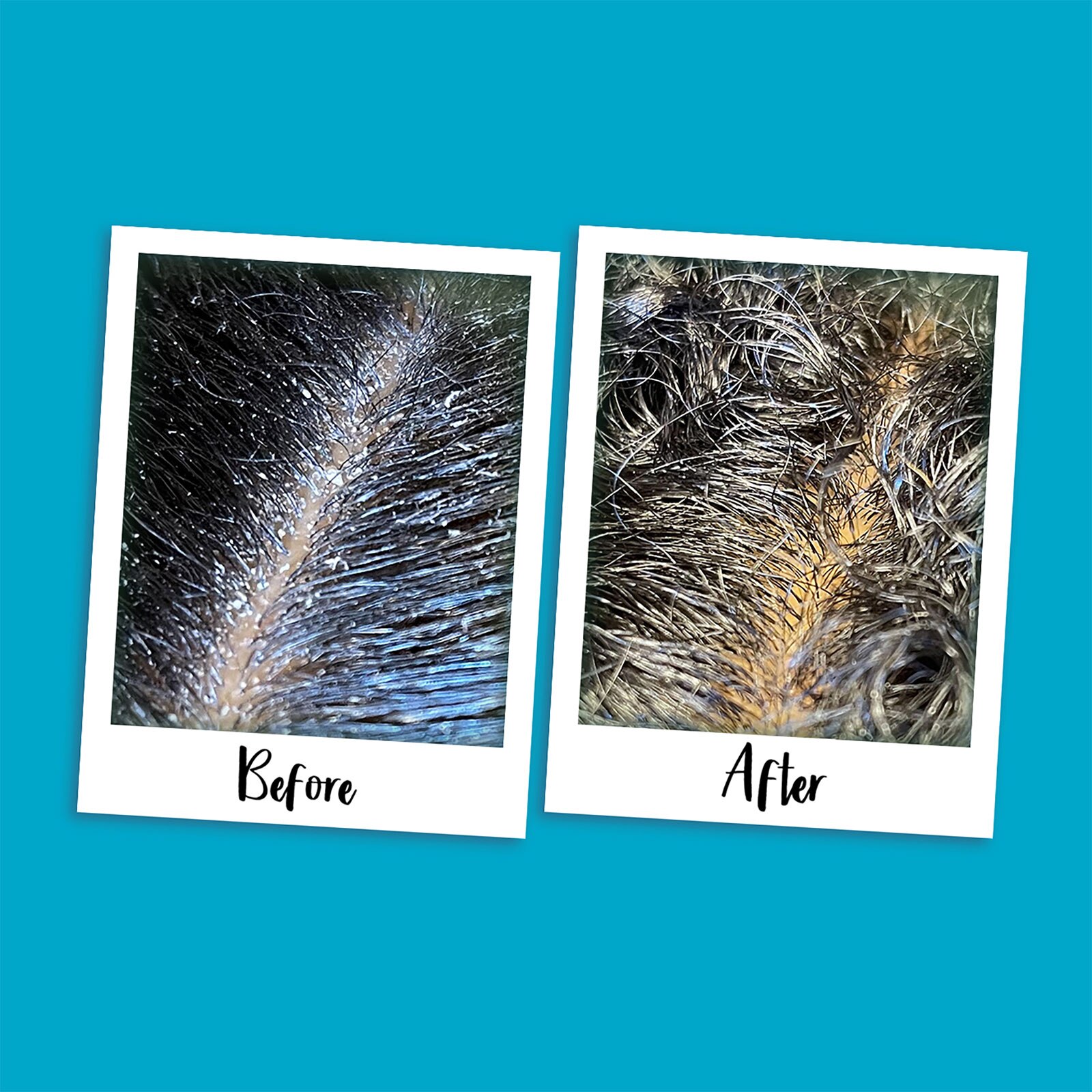 Curlsmith Scalp Wash & Scrub Detox Pro-Biotic 237ml | SEPHORA UK